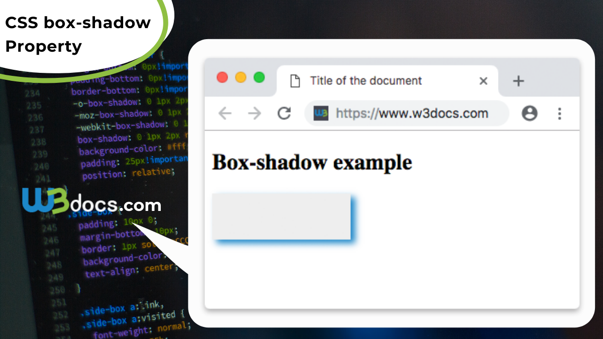 Box Shadow Color