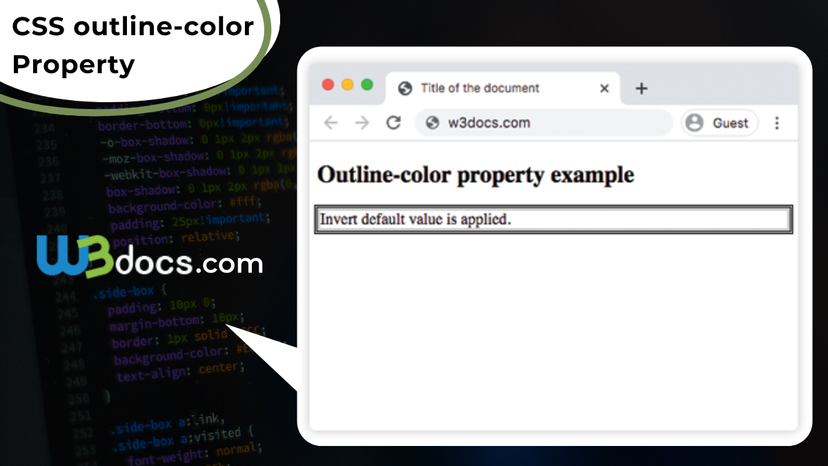 CSS outline-color Property CSS outline-color Property