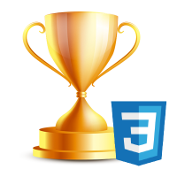 CSS Basics Quiz Test